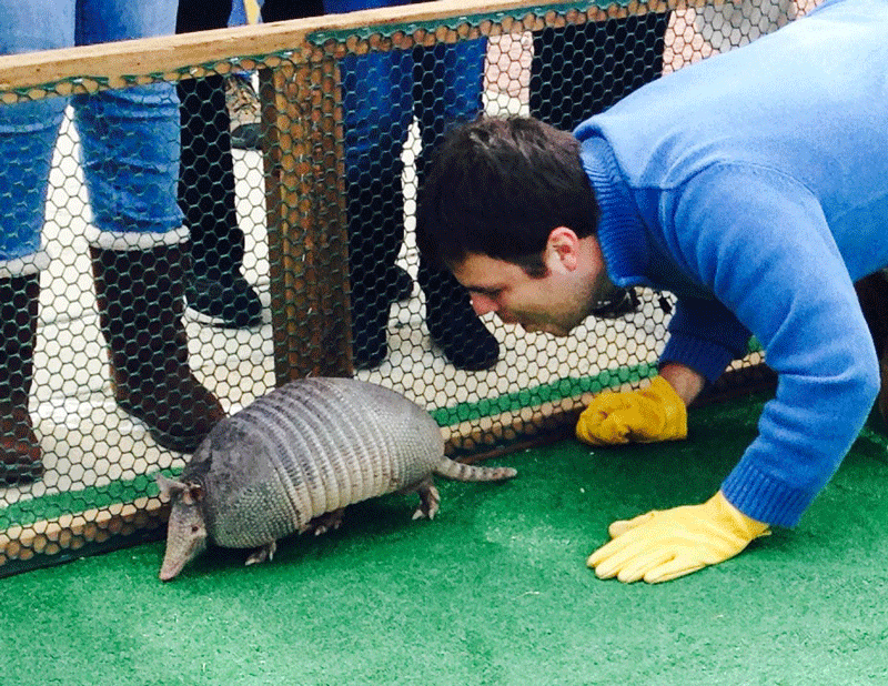 Shawnee Trail Armadillo Race | Heritage Association of Frisco, Inc